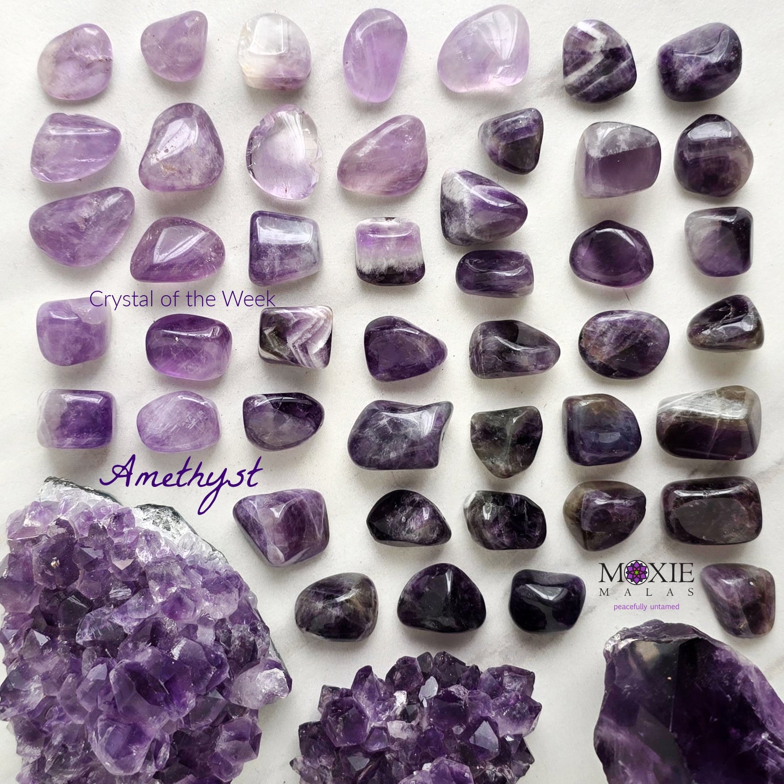 COTW – Moxie Malas
